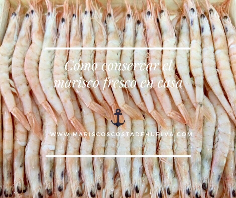 Cómo conservar el marisco fresco en casa | Mariscos Costa de Huelva